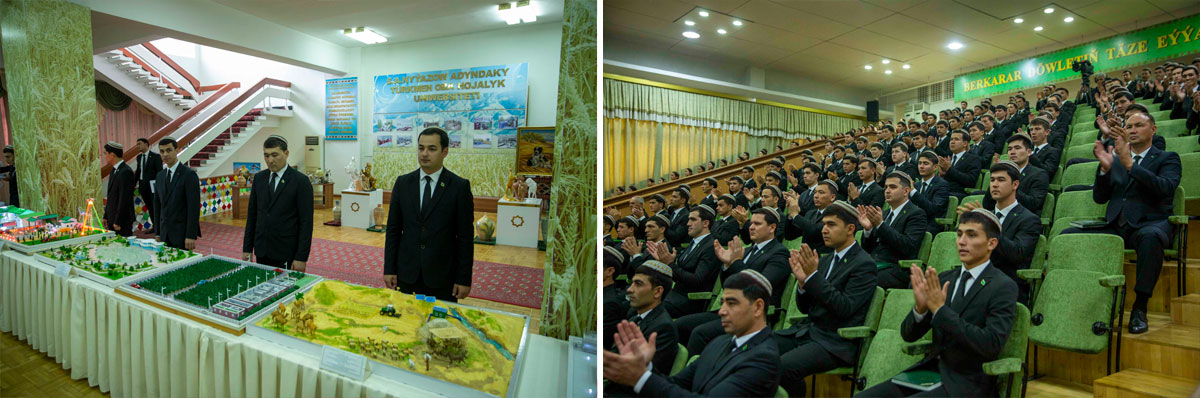 Turkmen alabai - national pride and heritage