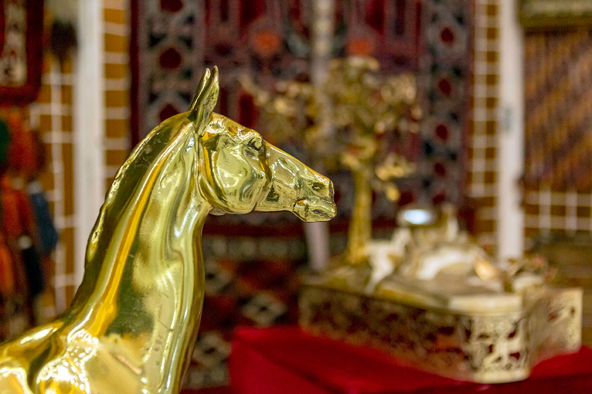 Ahal-Teke horse - a phenomenon of world horse breeding