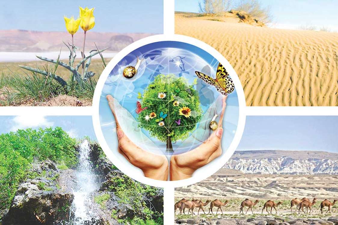 Central Asia is building long-term environmental cooperation